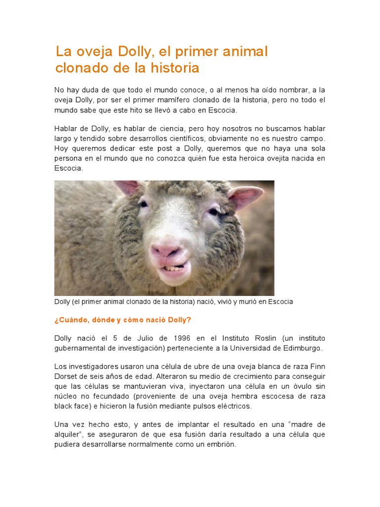 La Oveja Dolly Expociencia | Clonación | Ciencias de la tierra y de la vida