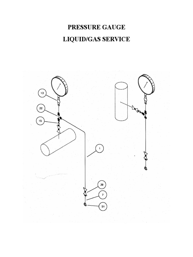 Pressure Gauge Liquid/Gas Service | PDF