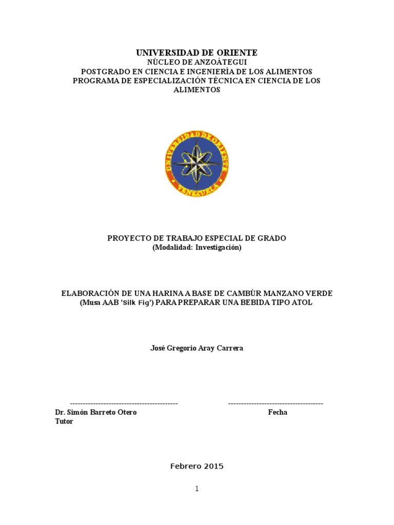 Proyecto Atol (Listo) | PDF | Gluten | Alimentos