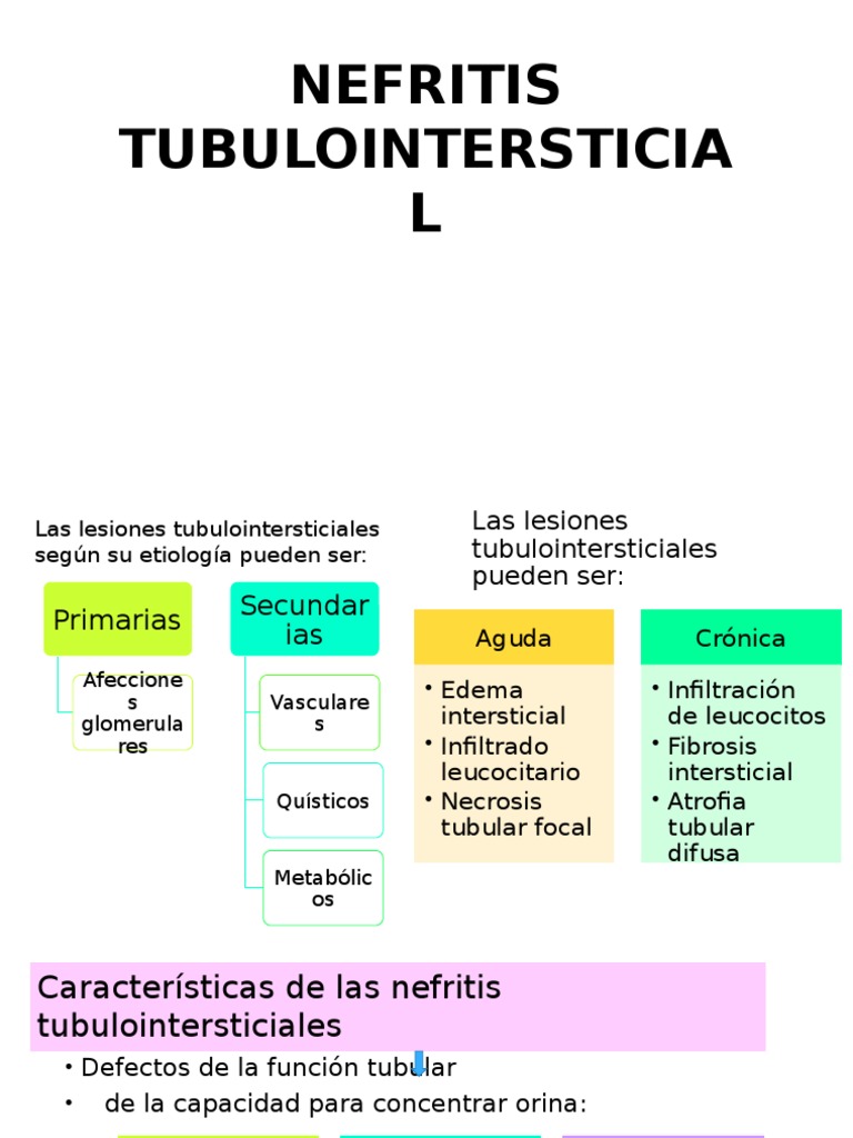 Nefritis Tubular Aguda | PDF | Riñón | Especialidades Medicas