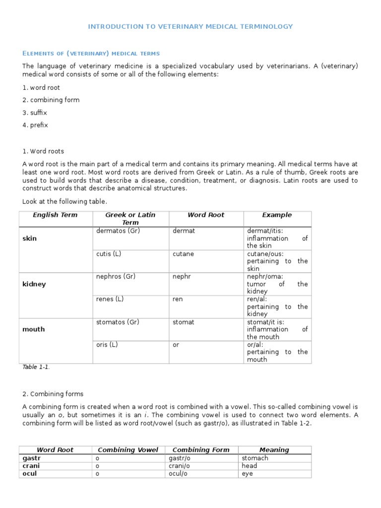 Introduction to Veterinary Medical Terminology | Language Families ...