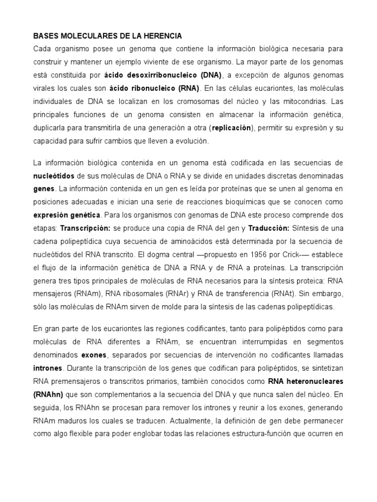 Bases Moleculares de La Herencia Resumen | PDF | Mitosis | Rna