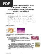 Glandulas Apocrinas | PDF | Piel | Epitelio