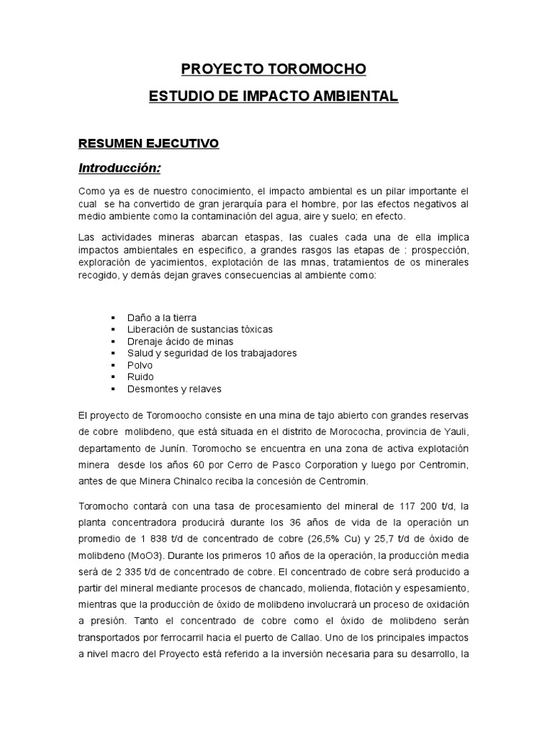 Proyecto Toromocho | PDF | Naturaleza