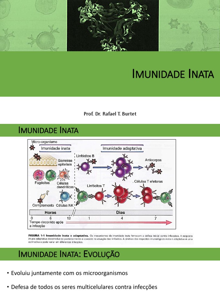 A imunidade inata: evolução, mecanismos de reconhecimento e componentes ...