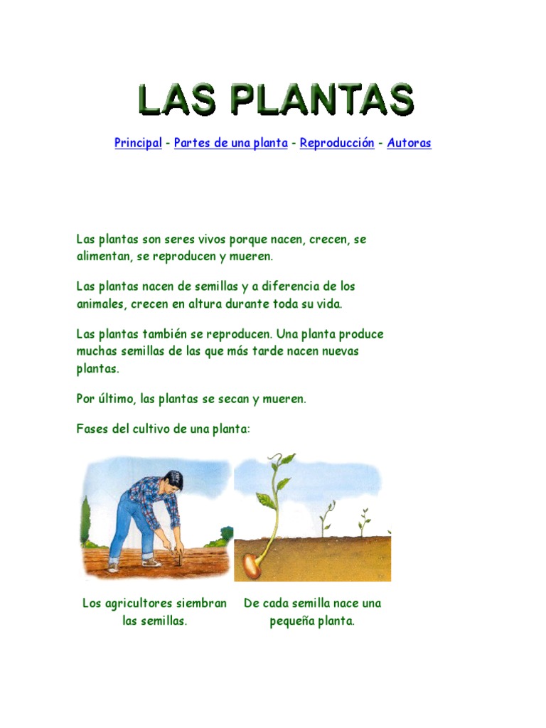 Las Plantas