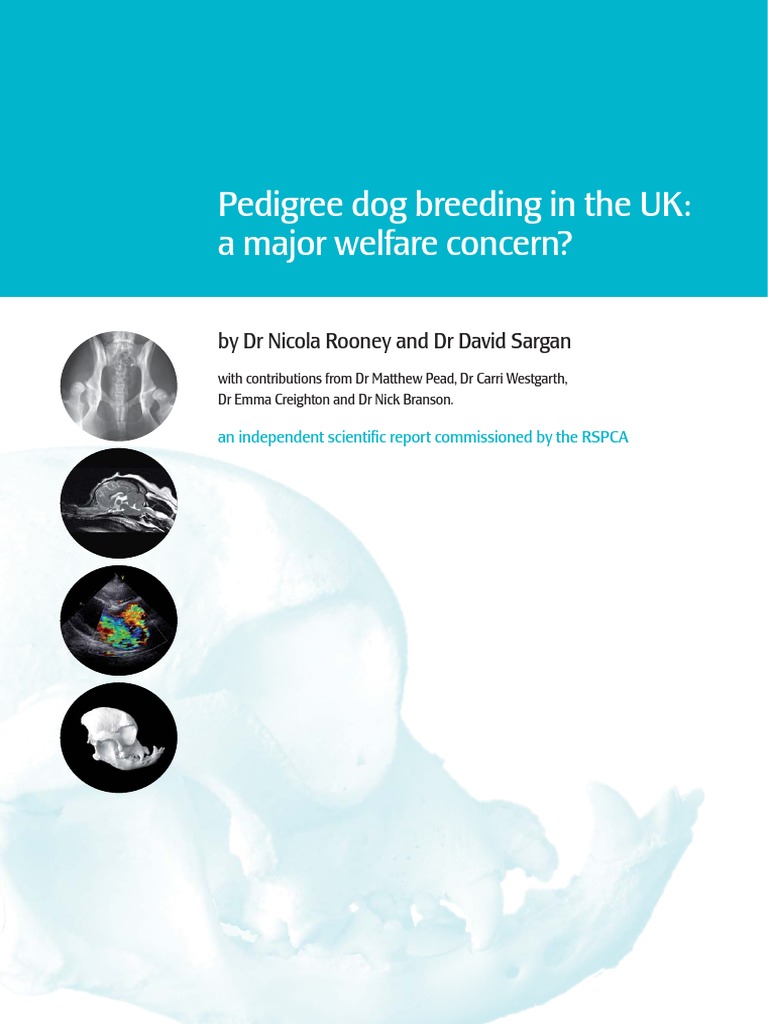 Pedigree Dog Breeding in The UK: A Major Welfare Concern? by DR Nicola ...