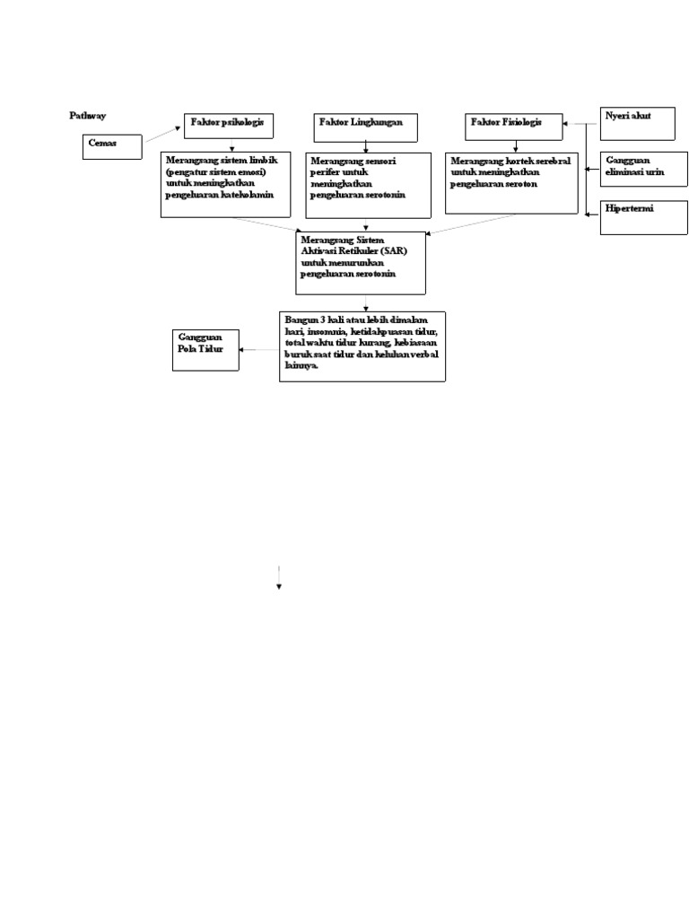 Pathway Istirahat Tidur | PDF | Pengembangan Diri | Kesehatan Holistik