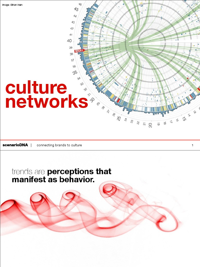 Culture Networks PDF | PDF | Brand | Mtv