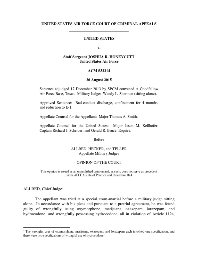 United States Air Force Court of Criminal Appeals | PDF | Courts ...