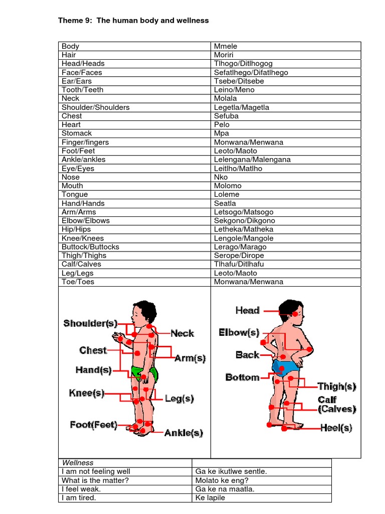 Learn Online Setswana - Theme 9 | PDF