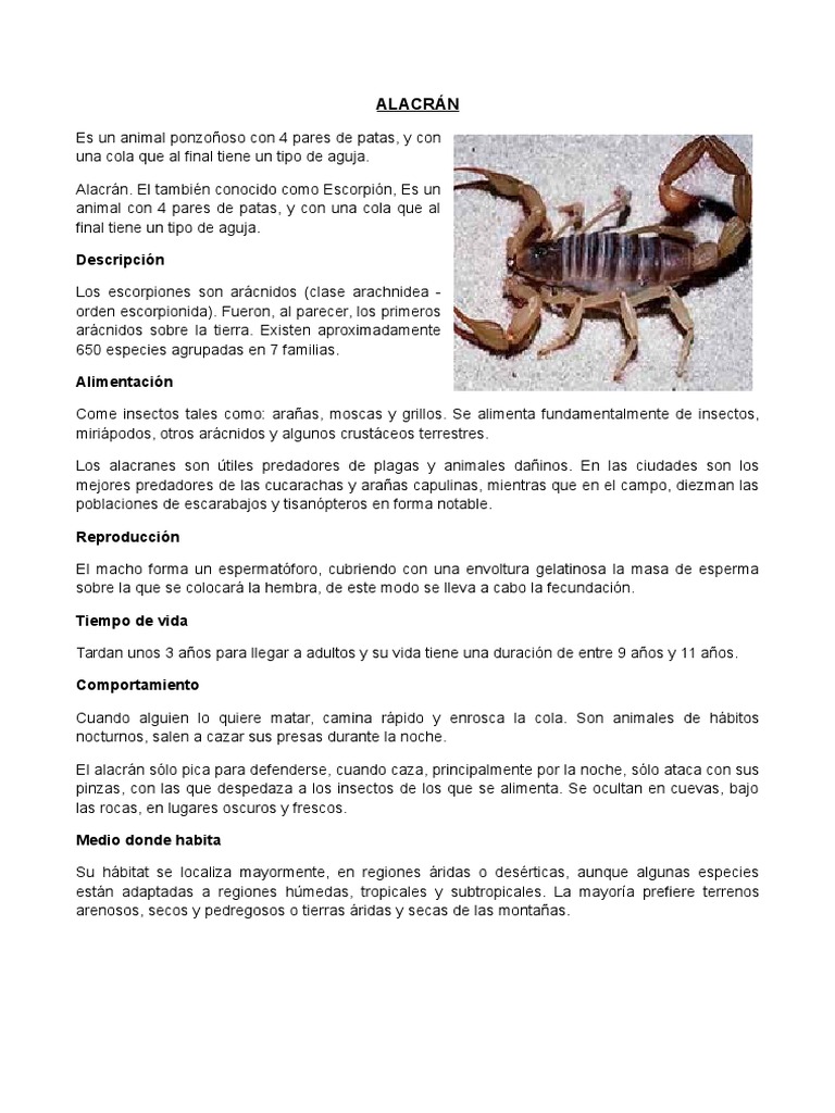 Características del Alacrán y su Hábitat | PDF