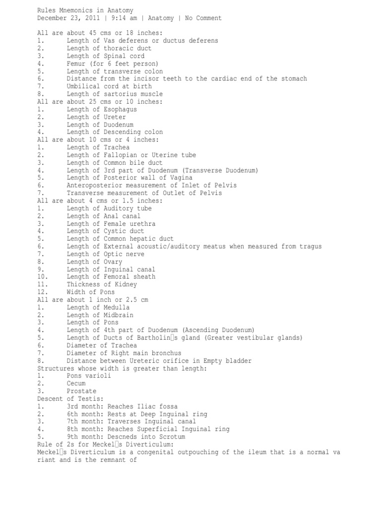 Rules Length Mnemonics in Anatomy | PDF | Brainstem | Vertebral Column
