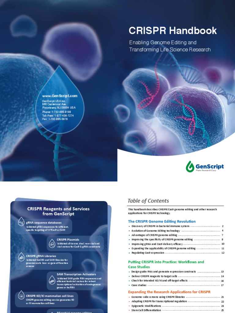 CRISPR Handbook | PDF | Crispr | Dna Repair