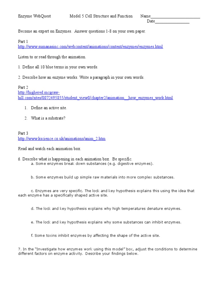 Enzyme Webquest | PDF