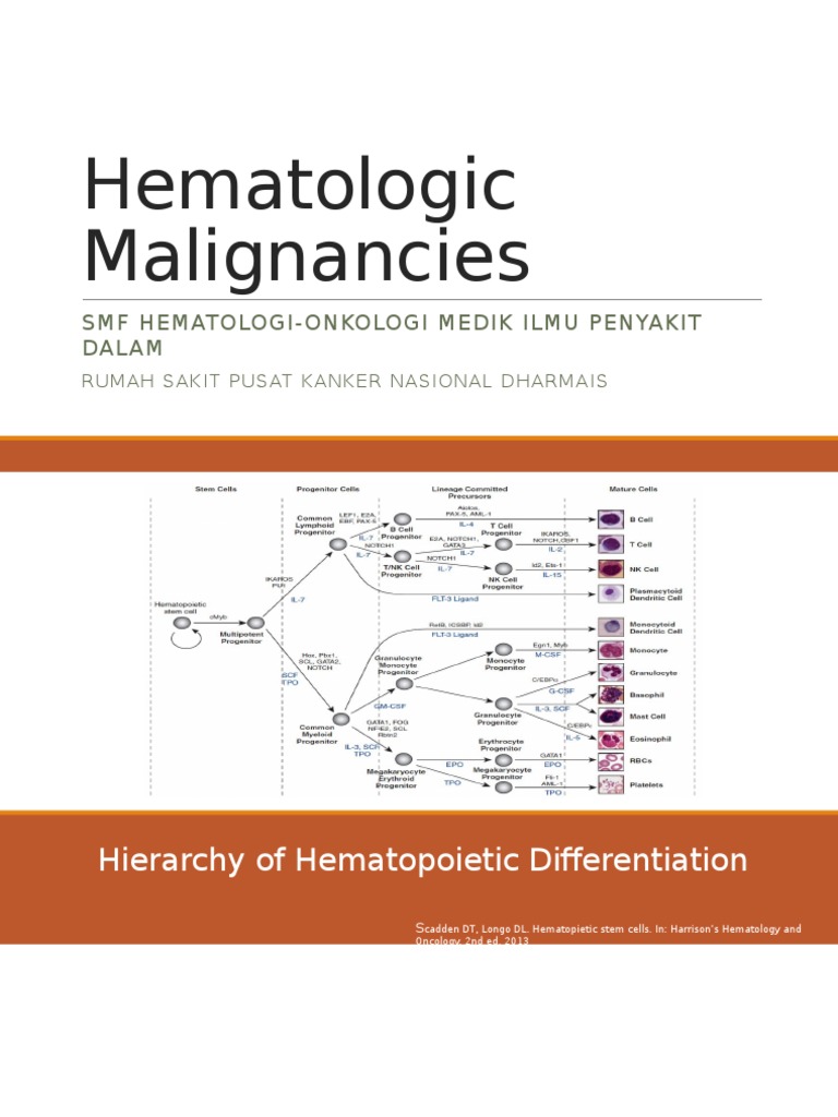 Overview of Acute Myelogenous Leukemia | PDF | Leukemia | Lymphoma