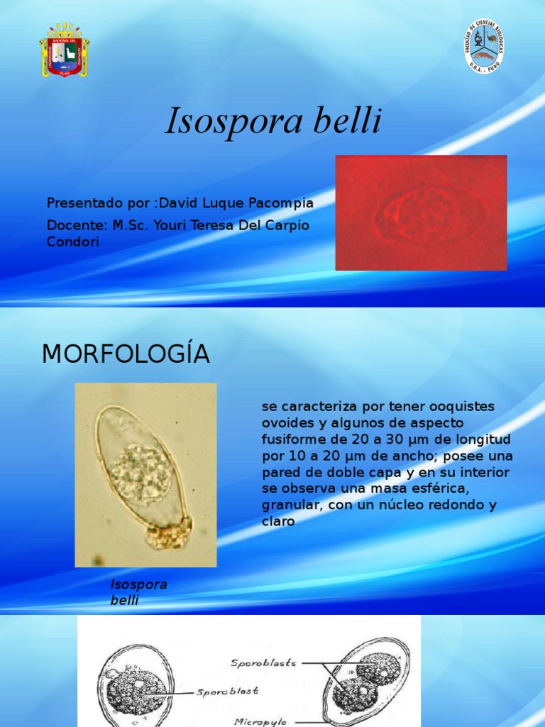 Isospora Belli | PDF | Diarrea | VIH / SIDA