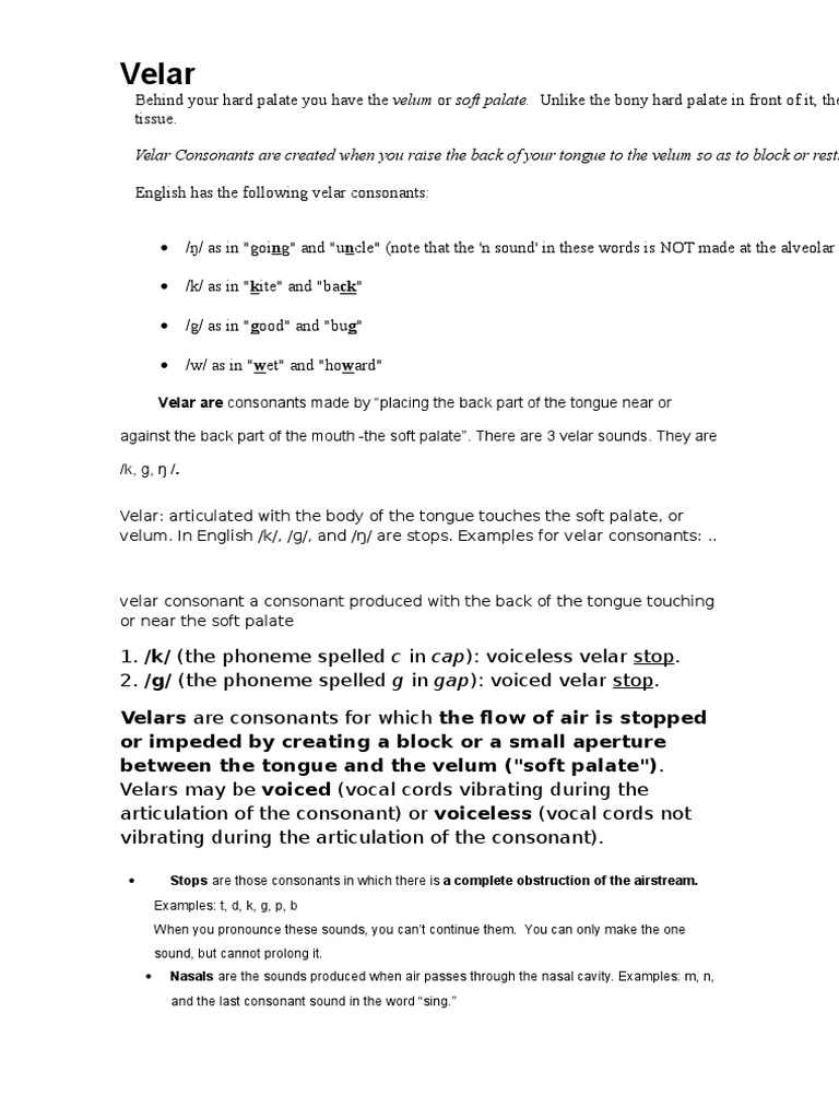 Velar consonants: 3 sounds made at soft palate | PDF