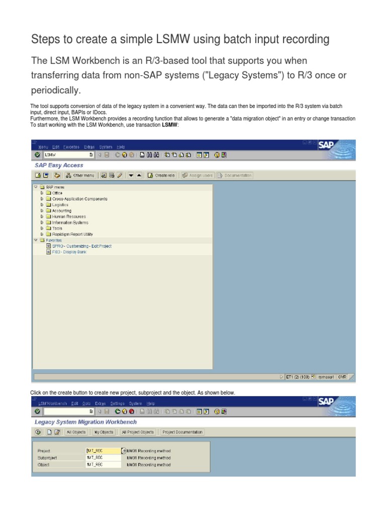 Steps To Create A Simple LSMW Using Batch Input Recording | PDF | File Format | Computer Data