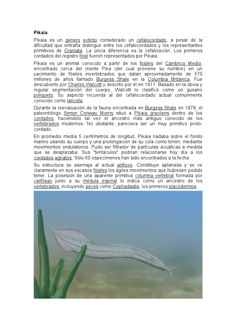 Pikaia | PDF | Cordados | Organismos