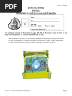 Wanted: Organelle Trail Project | PDF | Organelle | Cell Wall