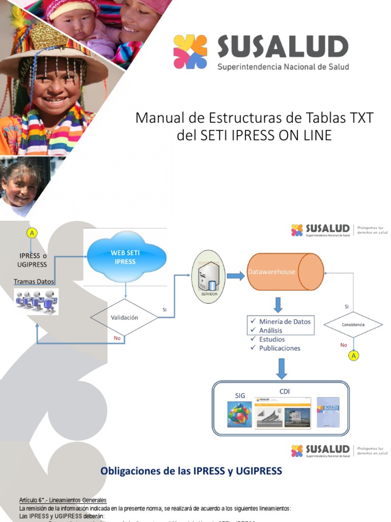 Manual de Estructura Tablas TXT SETI IPRESS ON LINE Ok - PDF | PDF ...
