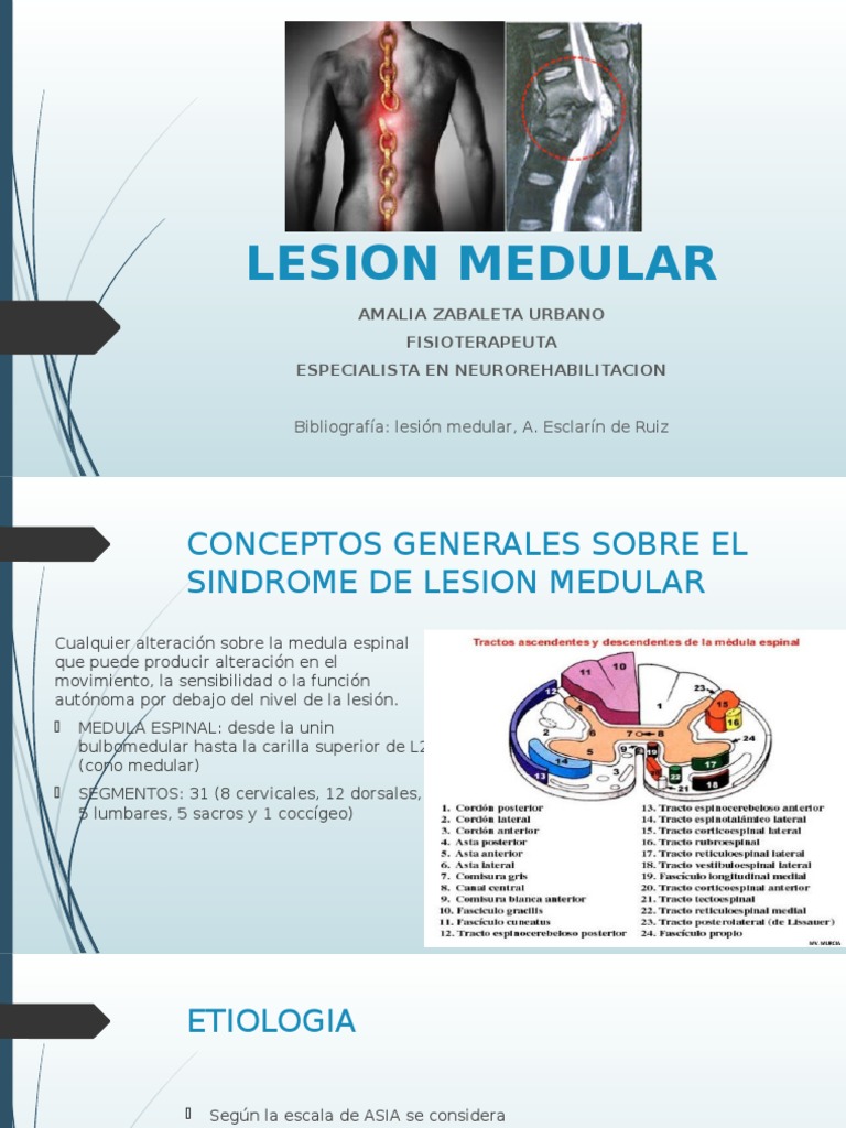 Lesion Medular | Médula espinal | Lesión de la médula espinal
