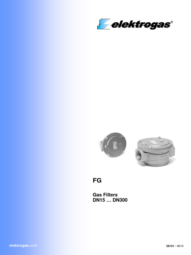 FG-FGS en | PDF | Valve | Pressure