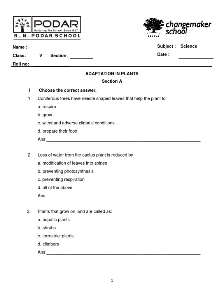 Adaptation in Plants Worksheet PDF | PDF | Plants | Leaf