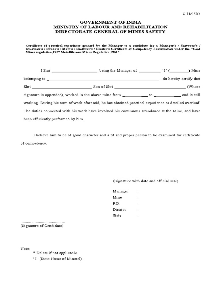 DGMS Mines Experience Certificate | Mining | Resource Extraction
