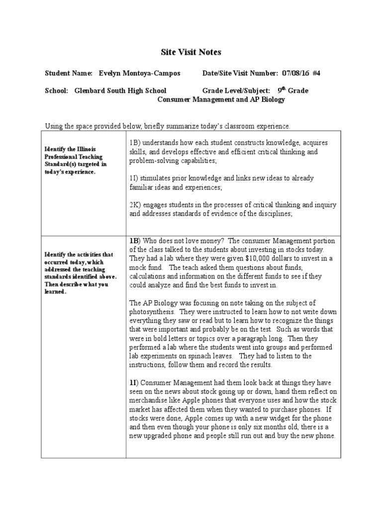 Site Visit Notes 07 08 16 | PDF | Critical Thinking | Cognition