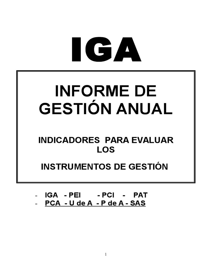Informe de Gestión Anual (Iga) | PDF | Evaluación | Aprendizaje