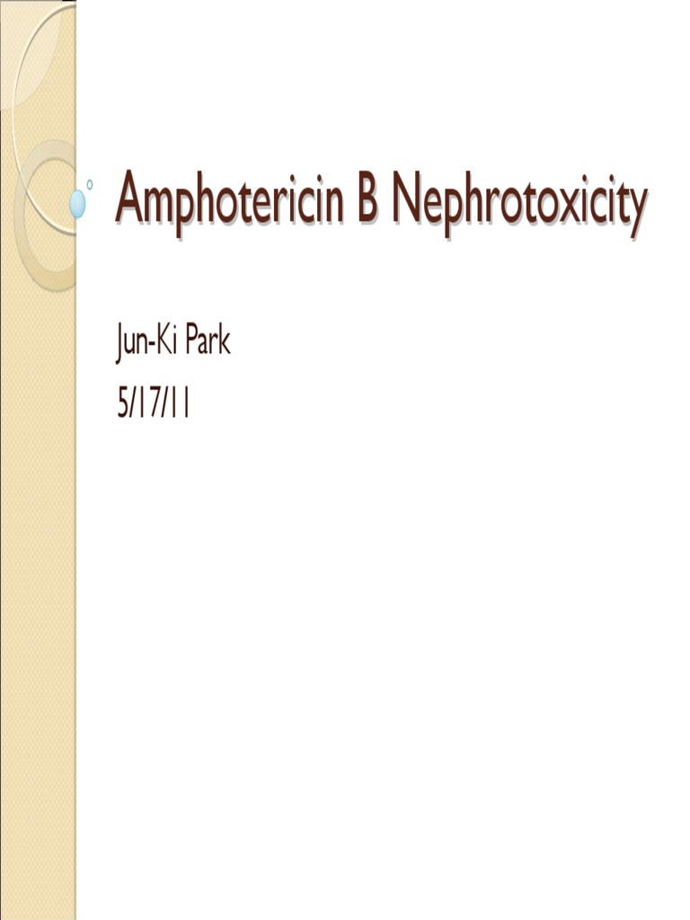 Amphotericin B Nephrotoxicity | PDF | Medical Specialties | Health Sciences
