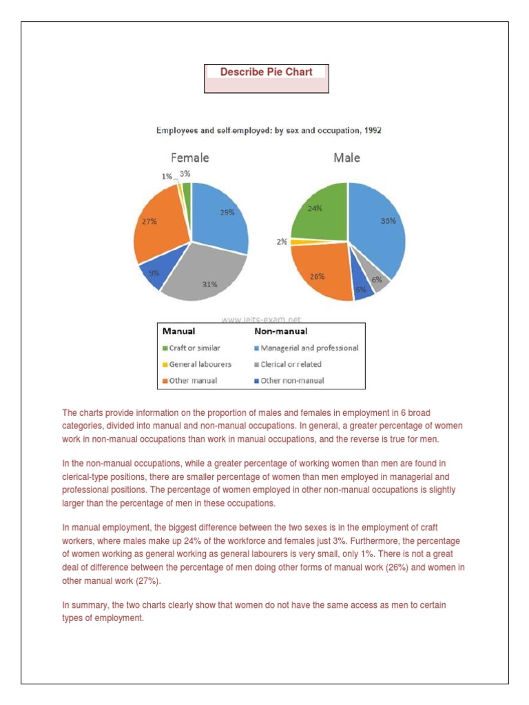 Describe Pie Chart | PDF | Workforce | Economies