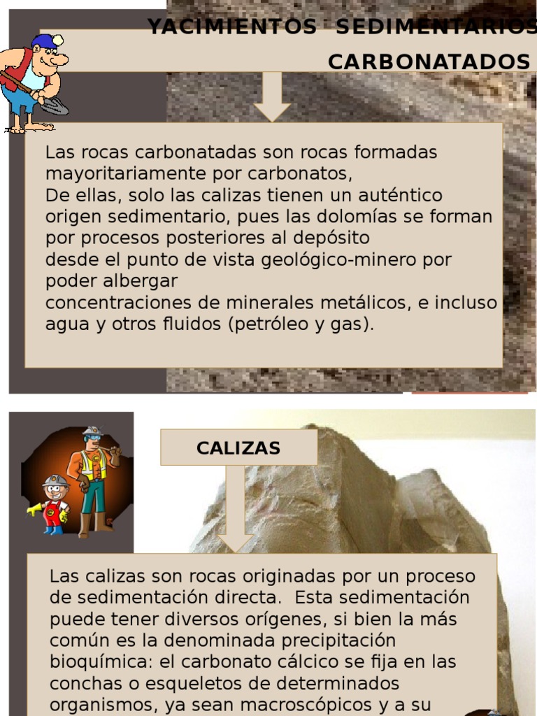 YACIMIENTOS SEDIMENTARIOS CARBONATADOS.pptx | Caliza | Roca (Geología)