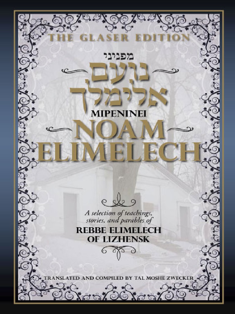 Noam Elimelech Sample | PDF