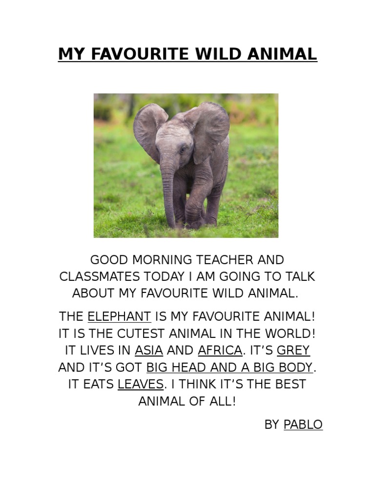 5th Project My Favourite Wild Animal | PDF