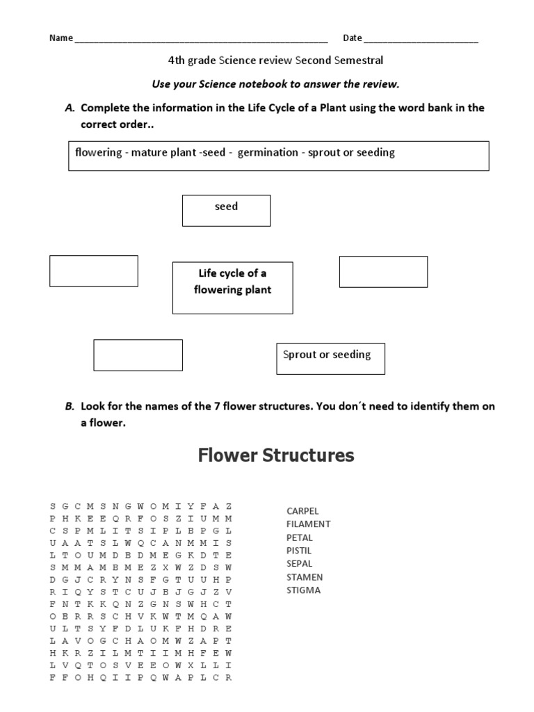 4th Grade SCIENCE Review Second Semestral Earth Life Sciences Biology