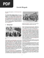 Nazi Party Ranks & Insignia Guide | PDF | Nazi Party | Nazis