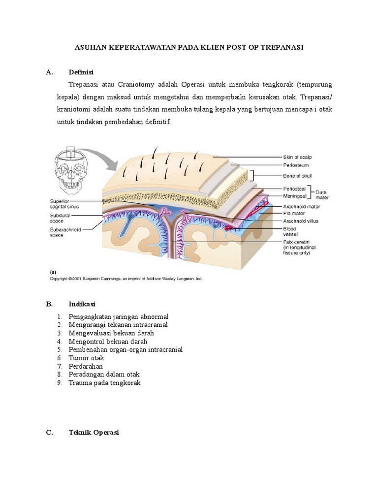 LP Post Trepanasi | PDF