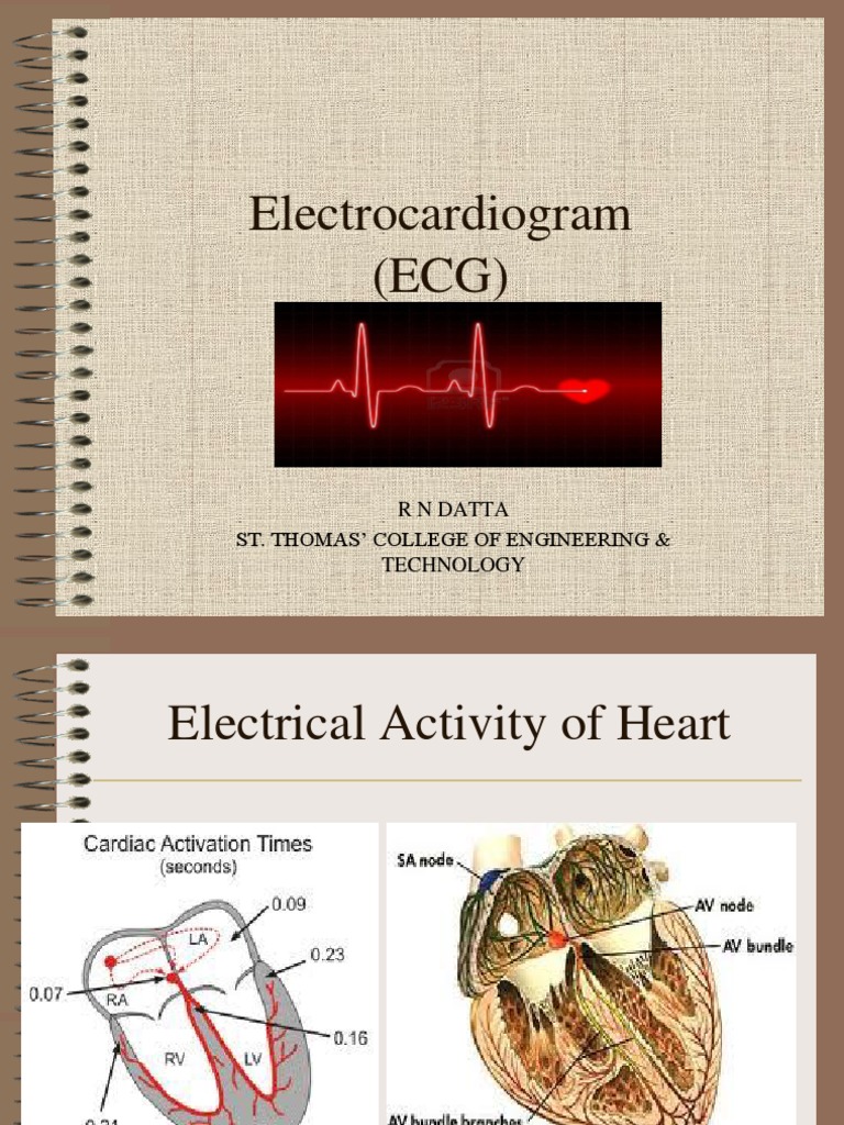 Ecg | PDF | Electrocardiography | Physiology