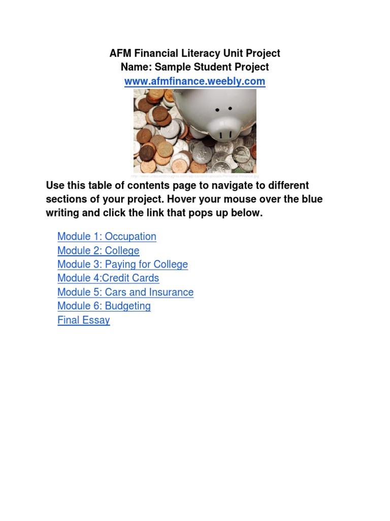 Sample Student Project 1 | PDF | Credit Card | Interest