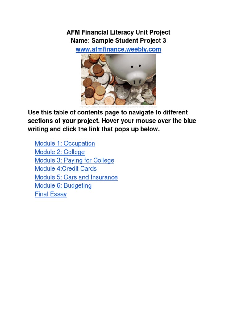 Sample Student Project 3 | PDF | Annual Percentage Rate | Credit Card