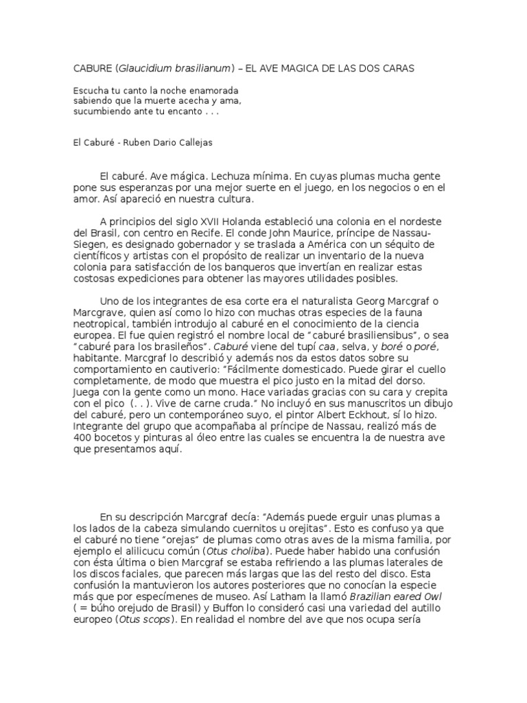 Historia Del Cabure | PDF | Aves | Búho