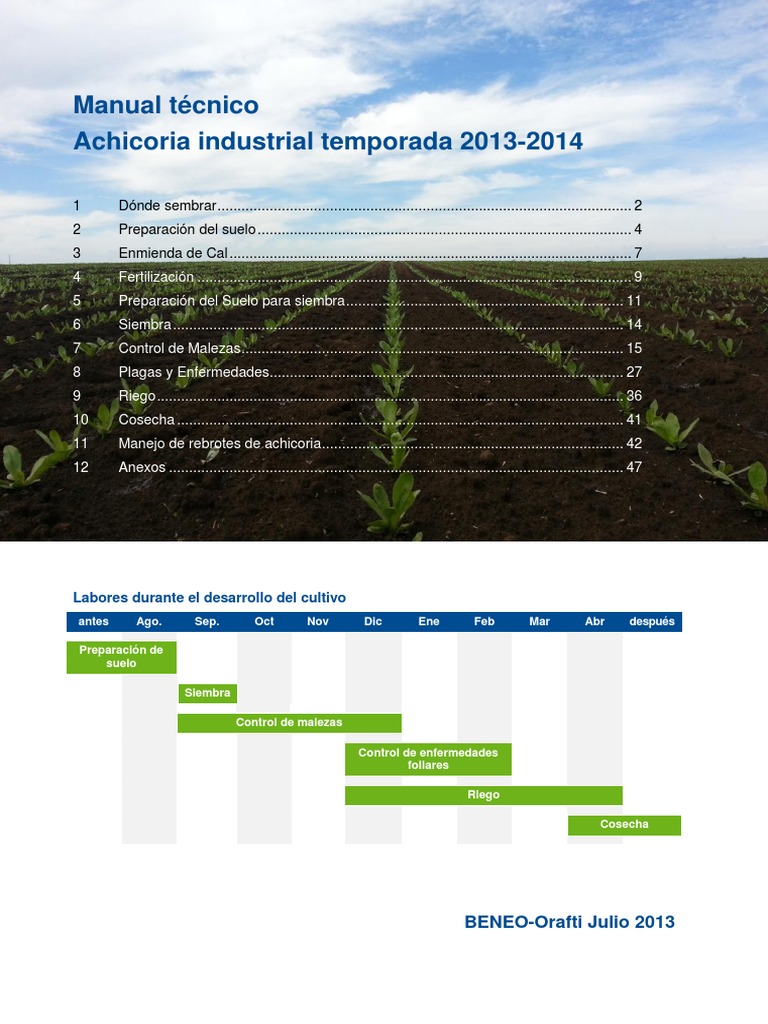 Manual Tecnico Cultivo Achicoria ORAFTI PDF | PDF | Siembra | Suelo