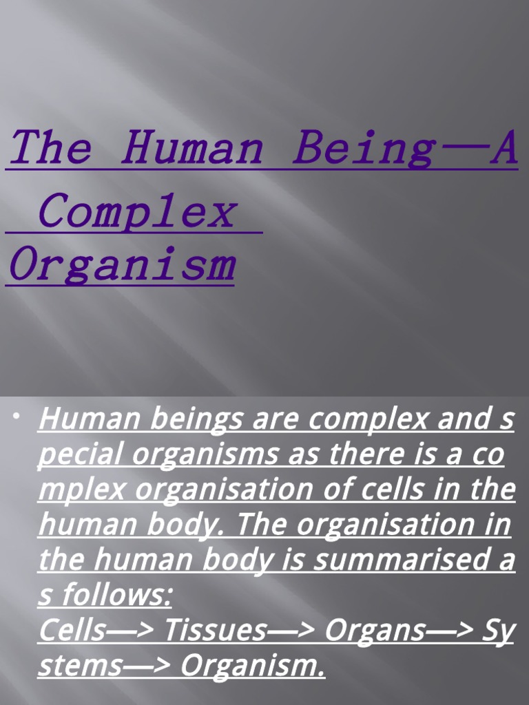 The Human Being-A Complex Organism | PDF