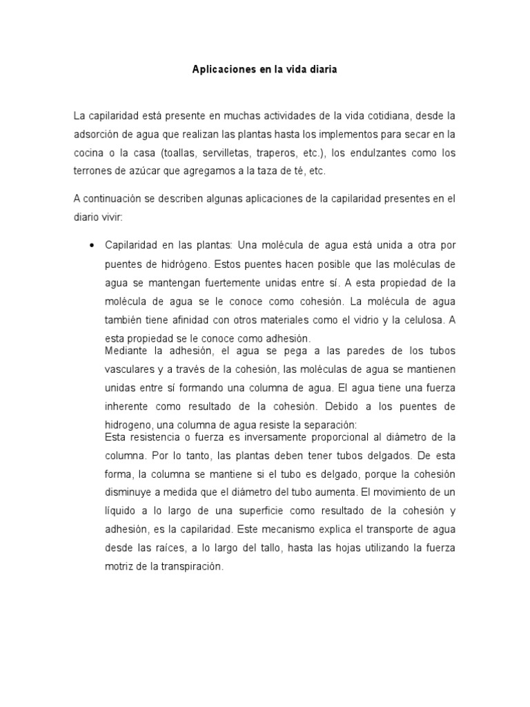 Capilaridad en Plantas y Esponjas | PDF