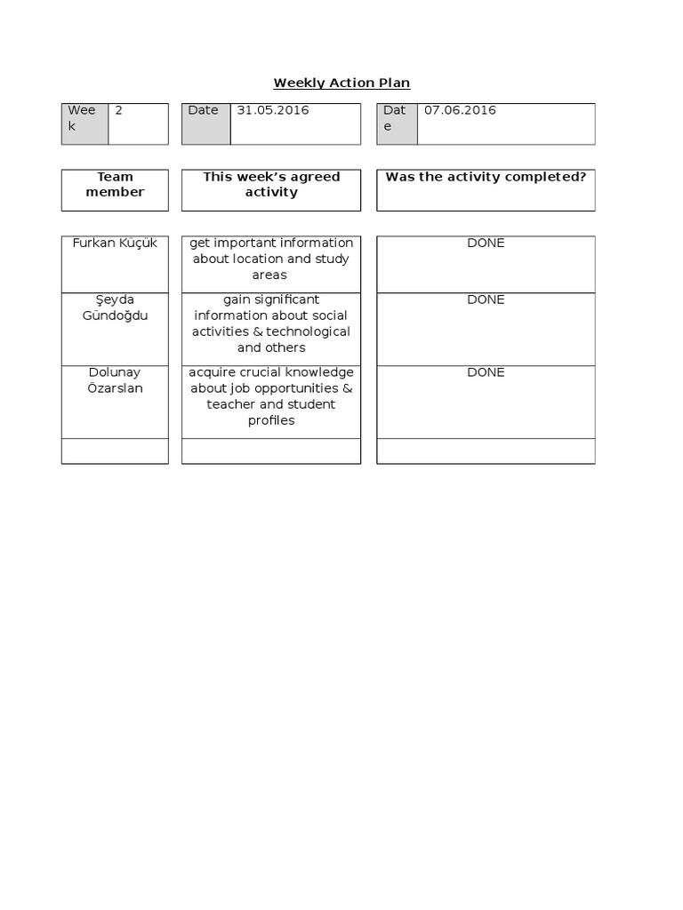 Weekly Action Plan | PDF