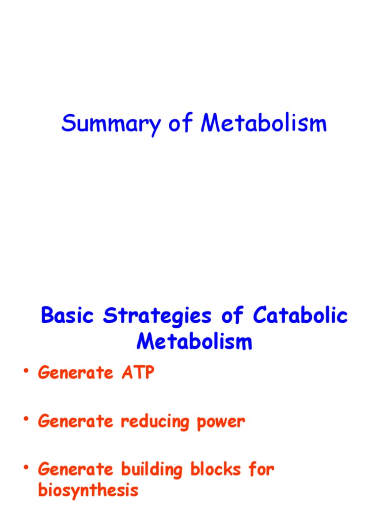 Summary of Metabolism | PDF | Metabolic Pathway | Metabolism