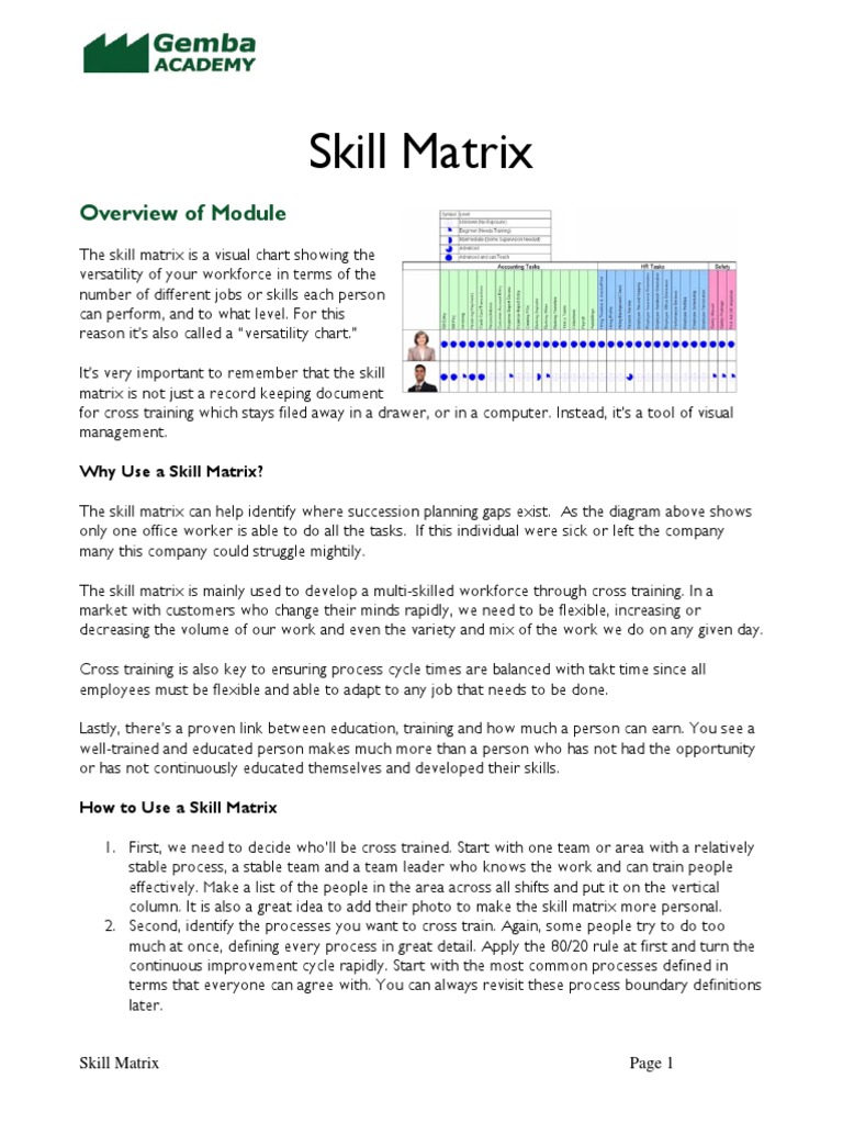 9b Skill Matrix | PDF | Employment | Matrix (Mathematics)